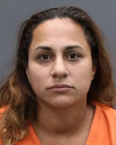 YESENIA ORTIZ-DIAZ of WIMAUMA booked for 500.00