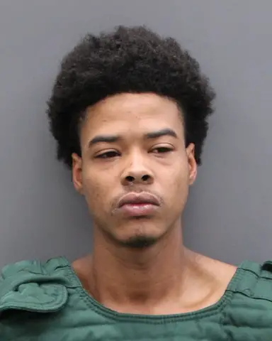 ADANNY WILLIAMS of TAMPA booked for 0.00