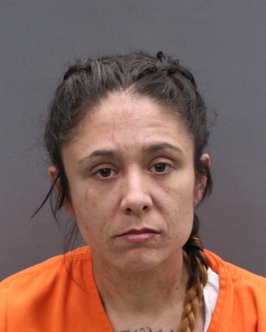 ASHLEY THOMAS of VALRICO booked for 0.00