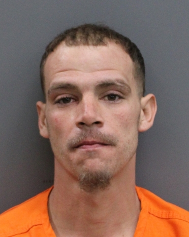 JOSEPH PAGAN of TAMPA booked for 500.00