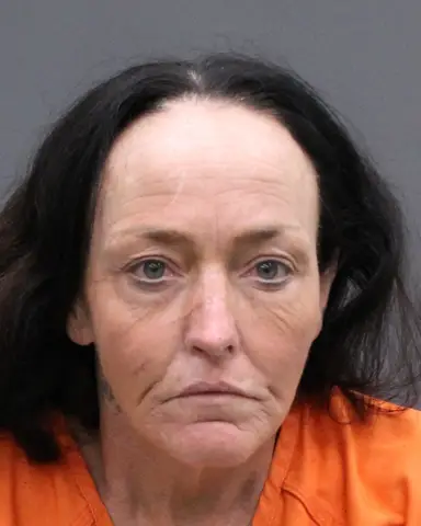 LISA DEMELLO of TAMPA booked for 500.00