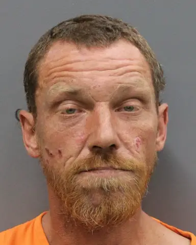 PAUL ROSE of TAMPA booked for 0.00