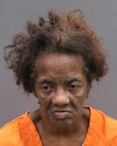 SANDRA HICKS booked for 500.00