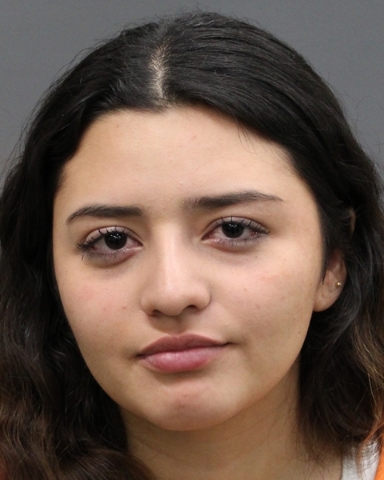 SARAH RODRIGUEZ-FIGUEROA of WEST PALM BEACH booked for 500.00