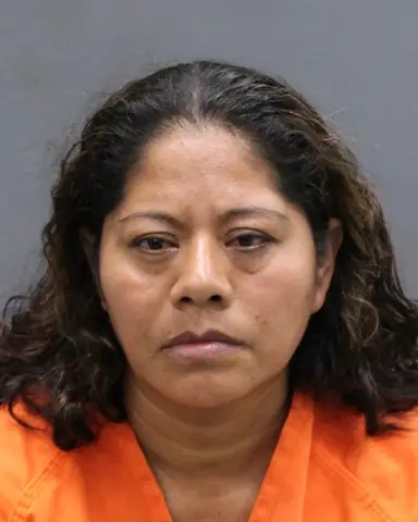 TELMA GOMEZ-PEREZ booked for 0.00