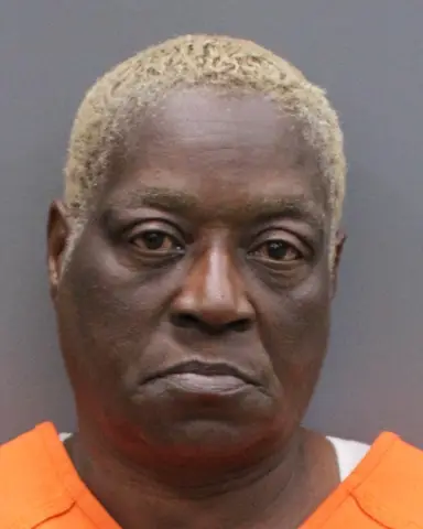 TINA JOYCE booked for 2,500.00