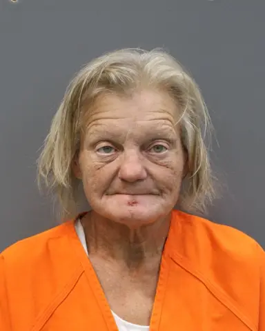 TRACY WILLIAMSON booked for 500.00