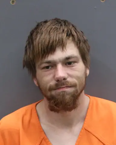 TYLER DANIEL booked for 500.00