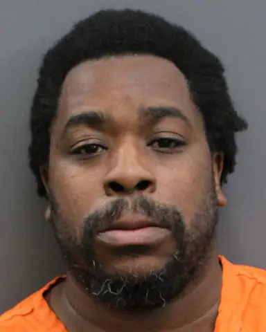 CHRISTOPHER YOUNG of TAMPA booked for 0.00