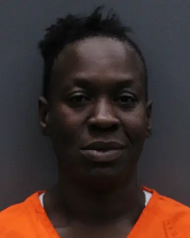 DENISE JAMES booked for 0.00