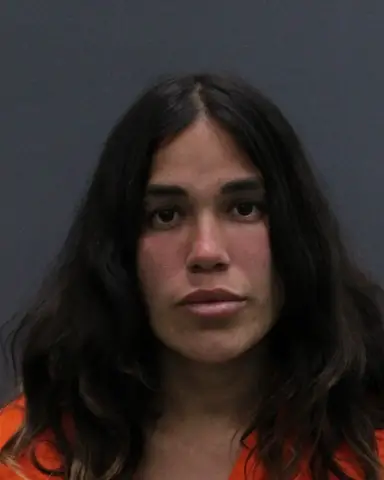 DONNA FERRER booked for 0.00