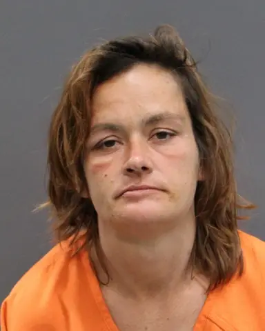 KRISTA ARRINGTON booked for 0.00