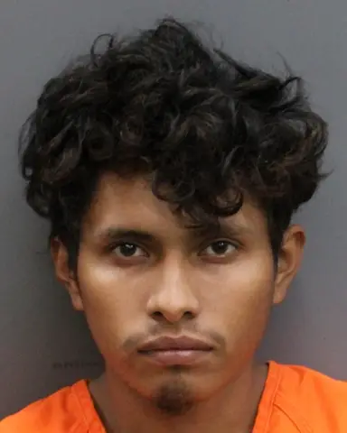 LUDWIN SARAVIA-GARAY booked for 0.00