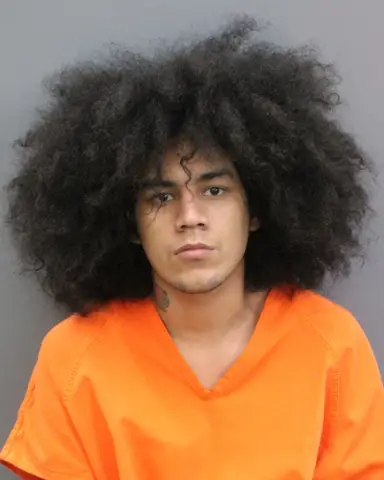 VICTOR-JR HERNANDEZ booked for 500.00