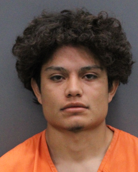MARTIN-JR ARELLANO booked for $0.00