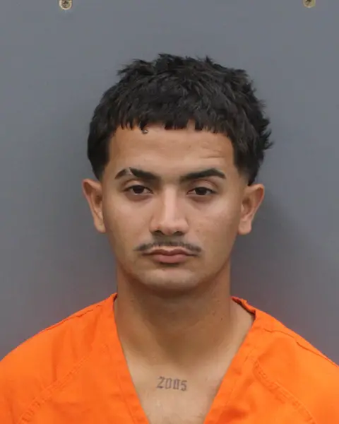 JOSEPH ROSALES-RODRIGUEZ of RUSKIN booked for $500.00