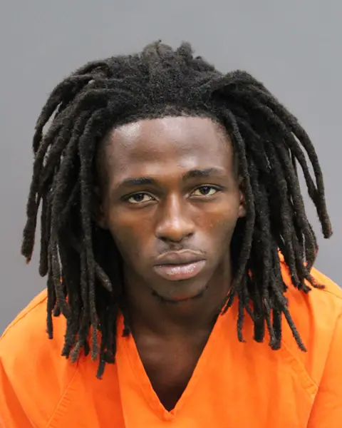 JAMES MCDOUGALD of ST PETERSBURG booked for $0.00