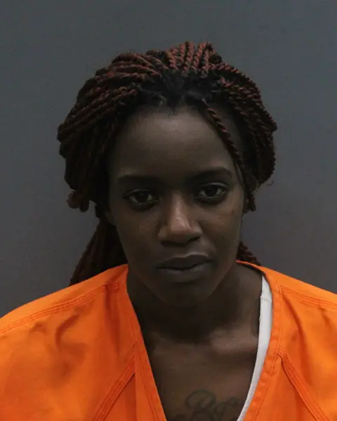 MIKEONDRA AMMONS of SEFFNER booked for $2,500.00