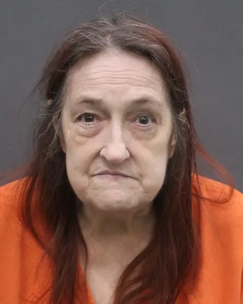 TERESA MATSON of TAMPA booked for $500.00